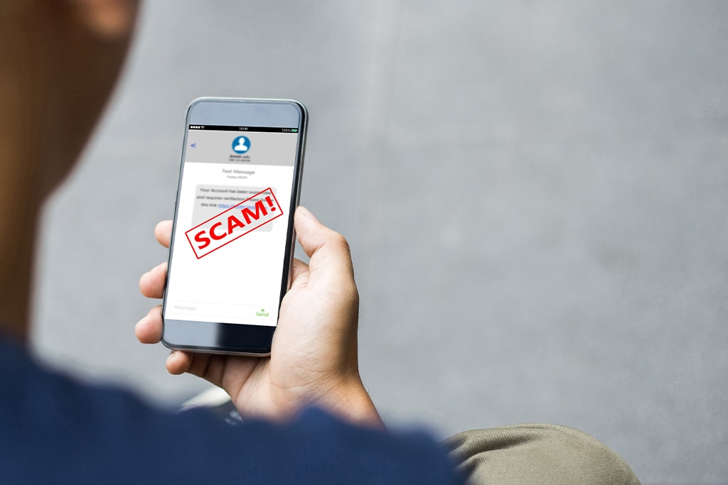 HOLIDAY SHOPPING ONLINE HOW TO SPOT AND AVOID THE TOP 5 CHRISTMAS